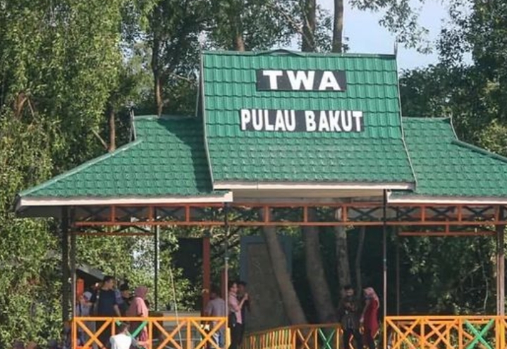 Pulau Bakut: Menelusuri Keunikan Taman Wisata Alam dan Penangkaran ...