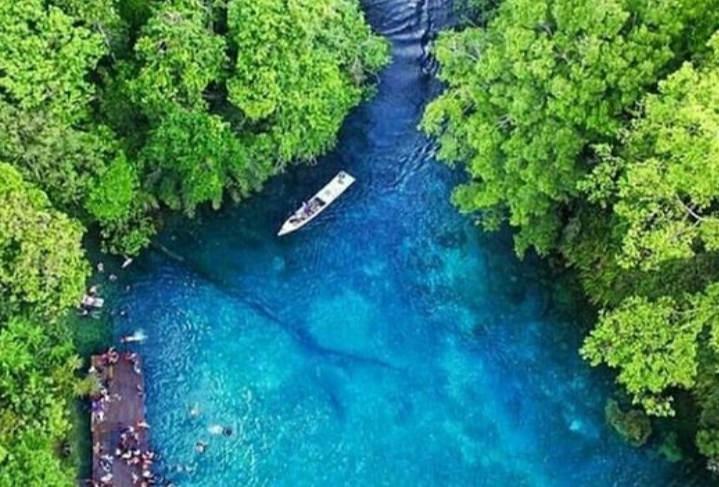 Labuan Cermin Berau: Keindahan Alam yang Memukau, Pesona Dasar Danau ...