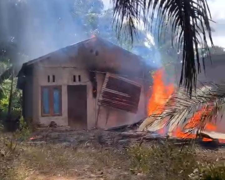 Satu Gudang dan Rumah Kebun Terbakar di Sanggau – SUARAKALBAR.CO.ID