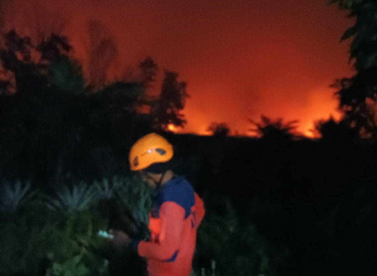 Titik Api Muncul di Kawasan Serdam, Karhutla Nyaris Jangkau Permukiman ...